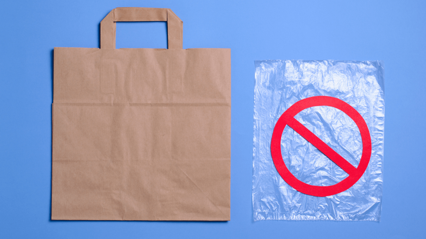 Sculpting Sustainably: Your Comprehensive Guide to Eco-Friendly ...