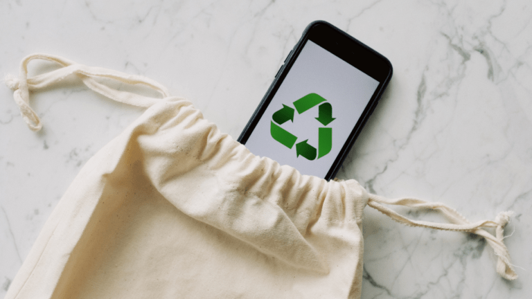 Sculpting Sustainably: Your Comprehensive Guide to Eco-Friendly ...